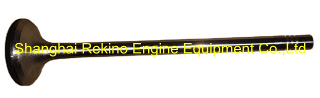 612630050002 Exhaust valve Weichai WP13 engine parts - Buy 612630050002 ...